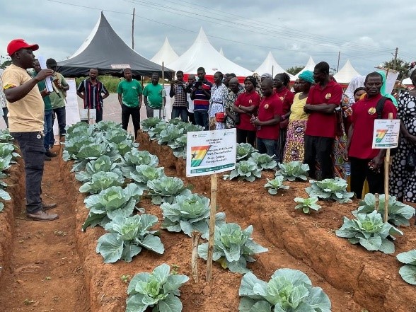 Reaping change: How modern farming is reshaping the vegetable sector ...