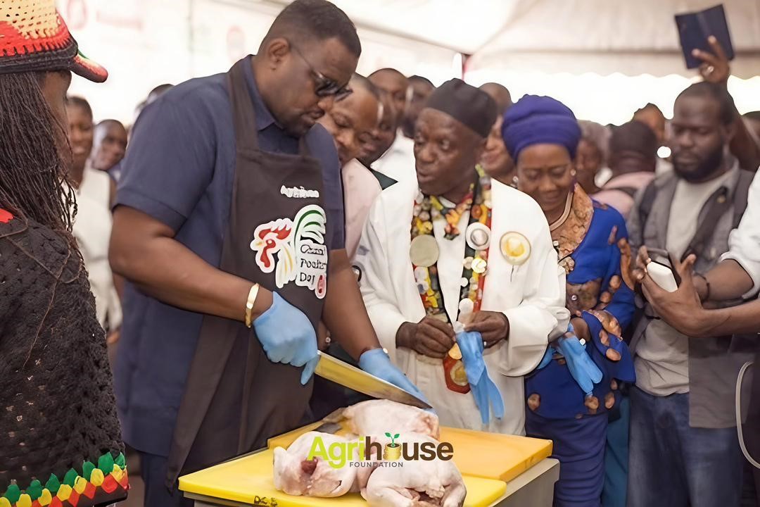 Poultry day 2026 set to champion local poultry production and food ...