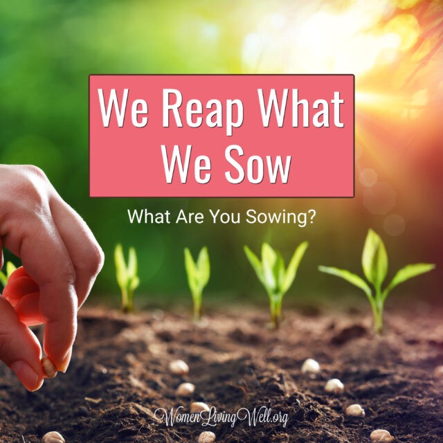 Sober reflections – you reap what you sow - The Business & Financial Times