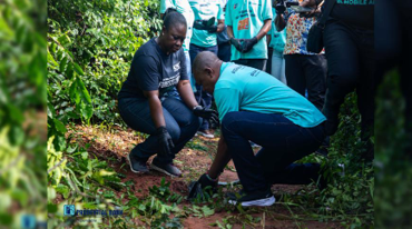 Prudential Bank plants 200 trees in Tree for Life drive - The Business ...